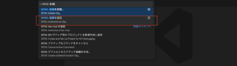 Salesforce開発を楽にする！VSCodeで効率的な開発環境を作る方法 | 合同会社mcs